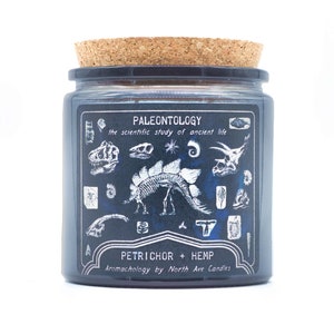 Dinosaur Candle / Science Candles / Paleontology / Gifts for Teachers ...