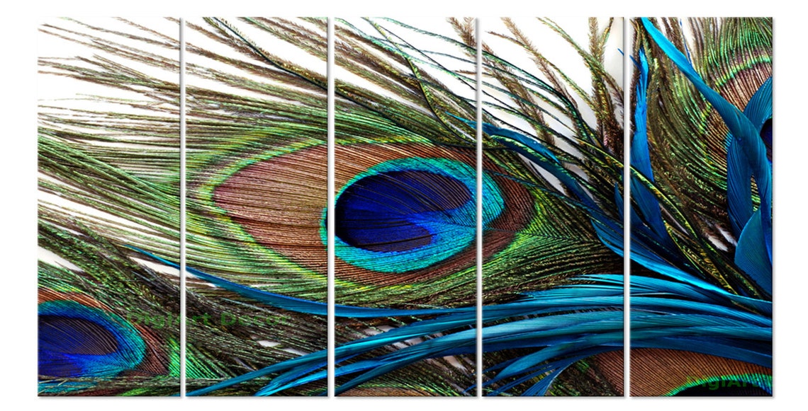 PEACOCK FEATHER Ready to Hang Set of 5 Wall Art Print Mounted on ...