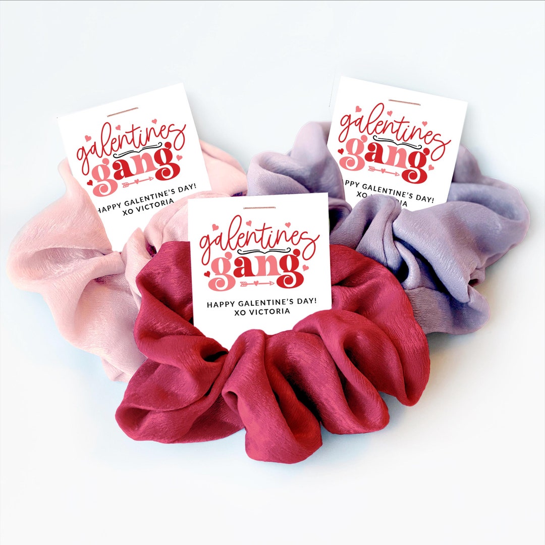 Galentines Gang Hair Scrunchie, Galentines Day Gift for Friends ...