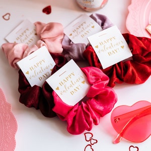 Valentines Day Gift for Friends, Hair Scrunchie Valentine Gift ...