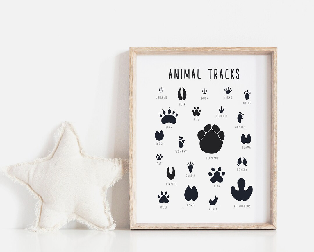 Animal Tracks Print, Nursery Art Print, Boys Room Art, Woodland Tracks ...
