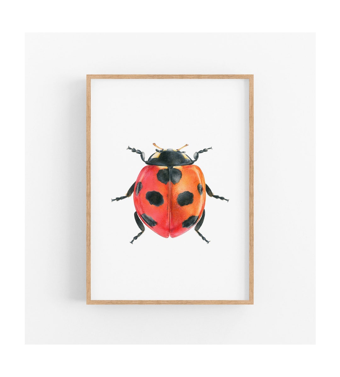Ladybird Wall Art Print, Ladybug Print, Nursery Wall Decor, Entomology ...