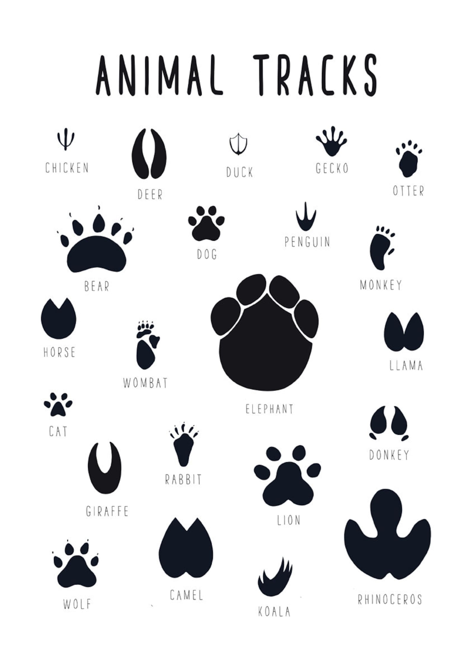 Animal Tracks Print Animal Tracks Poster Nursery Art Print - Etsy Australia