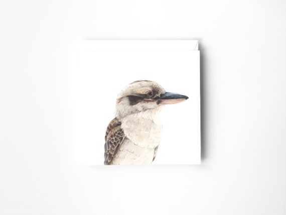 Australian Animals Kookaburra