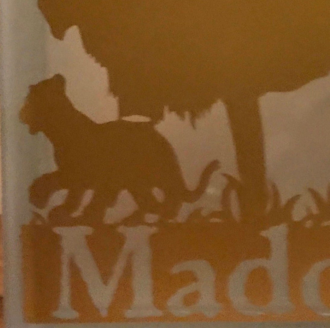 Lion With Cub Nightlight Lions Glass Light Block Illuminated - Etsy UK