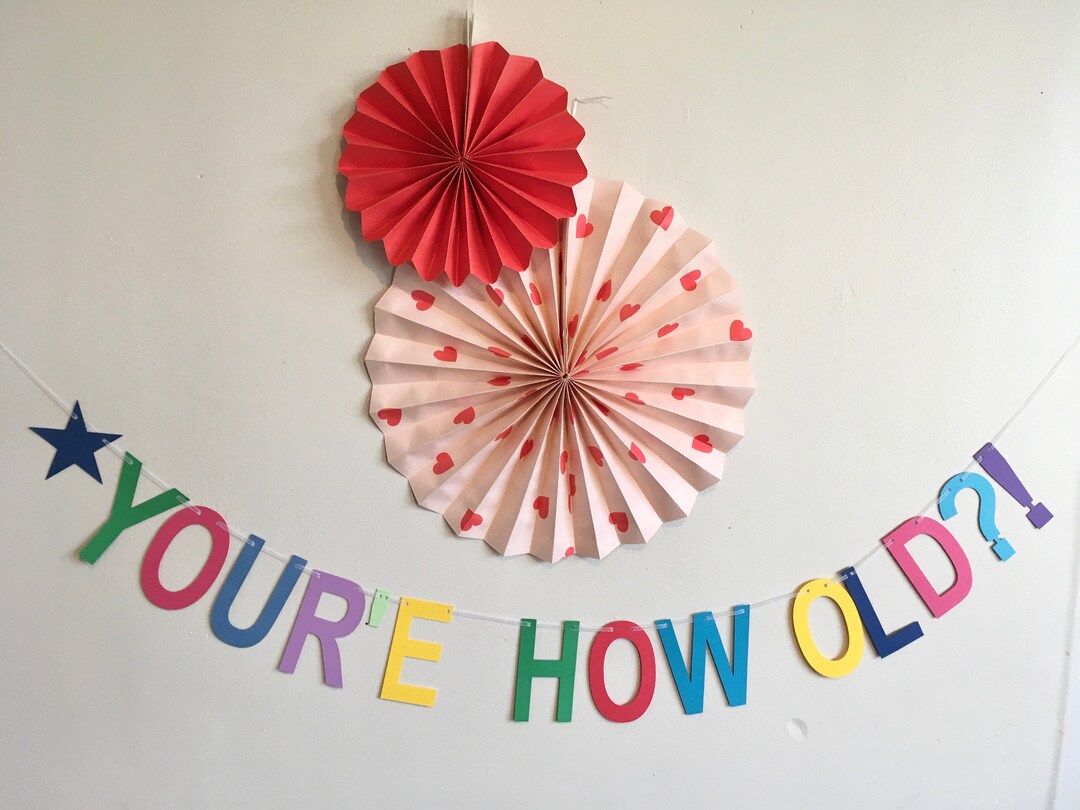 YOUR'E HOW OLD?! Rude (but Funny!) Birthday Party Bunting Banner Adult ...