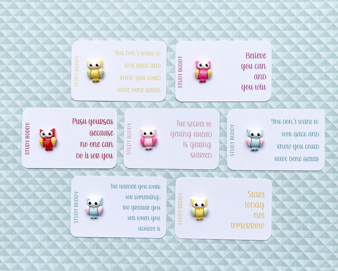 Study Buddy Revision Aide / GCSE Revision Gift A Level Study Gift ...