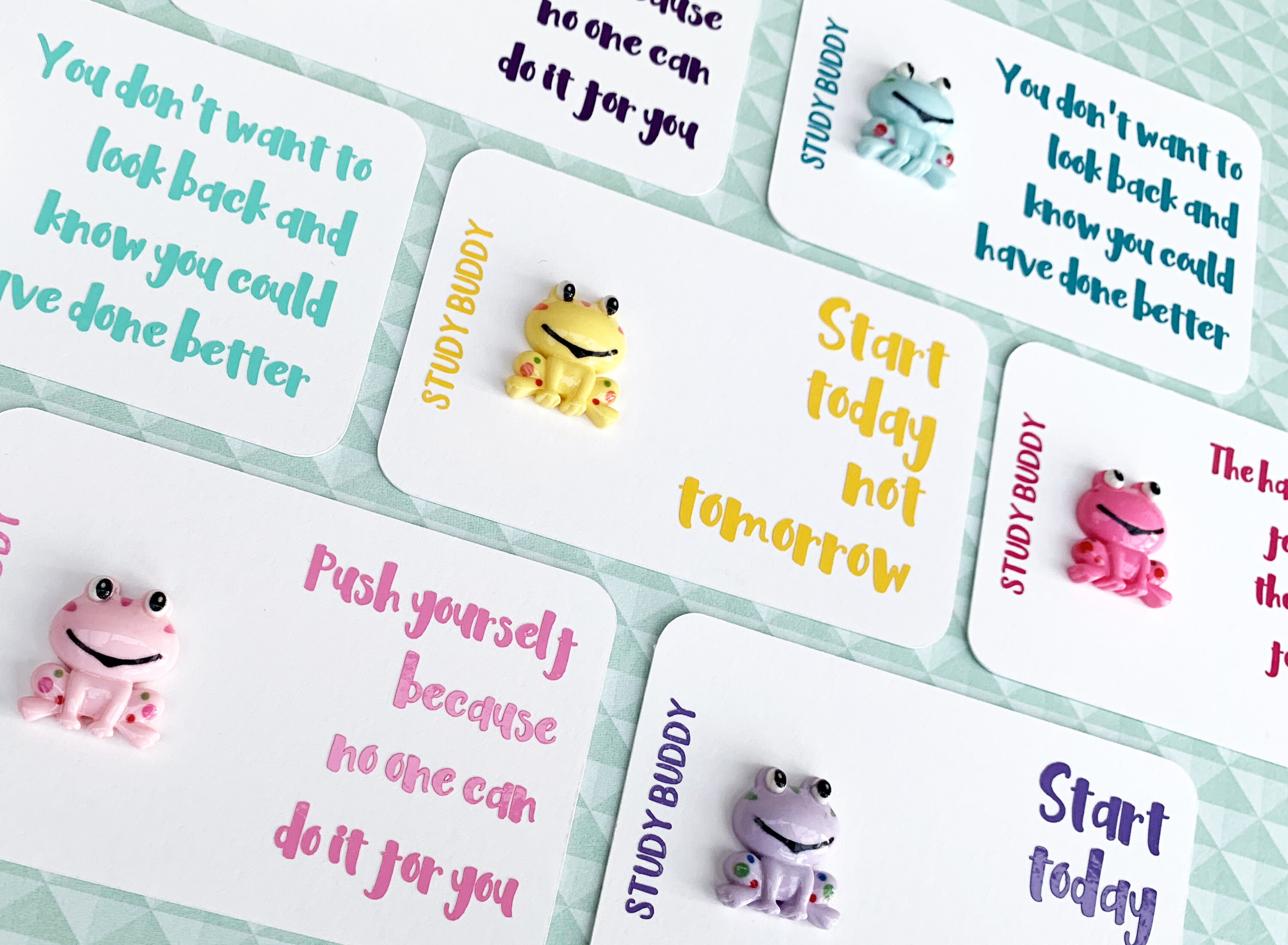 Study Buddy Revision Aide / GCSE Revision Gift A Level Study - Etsy UK