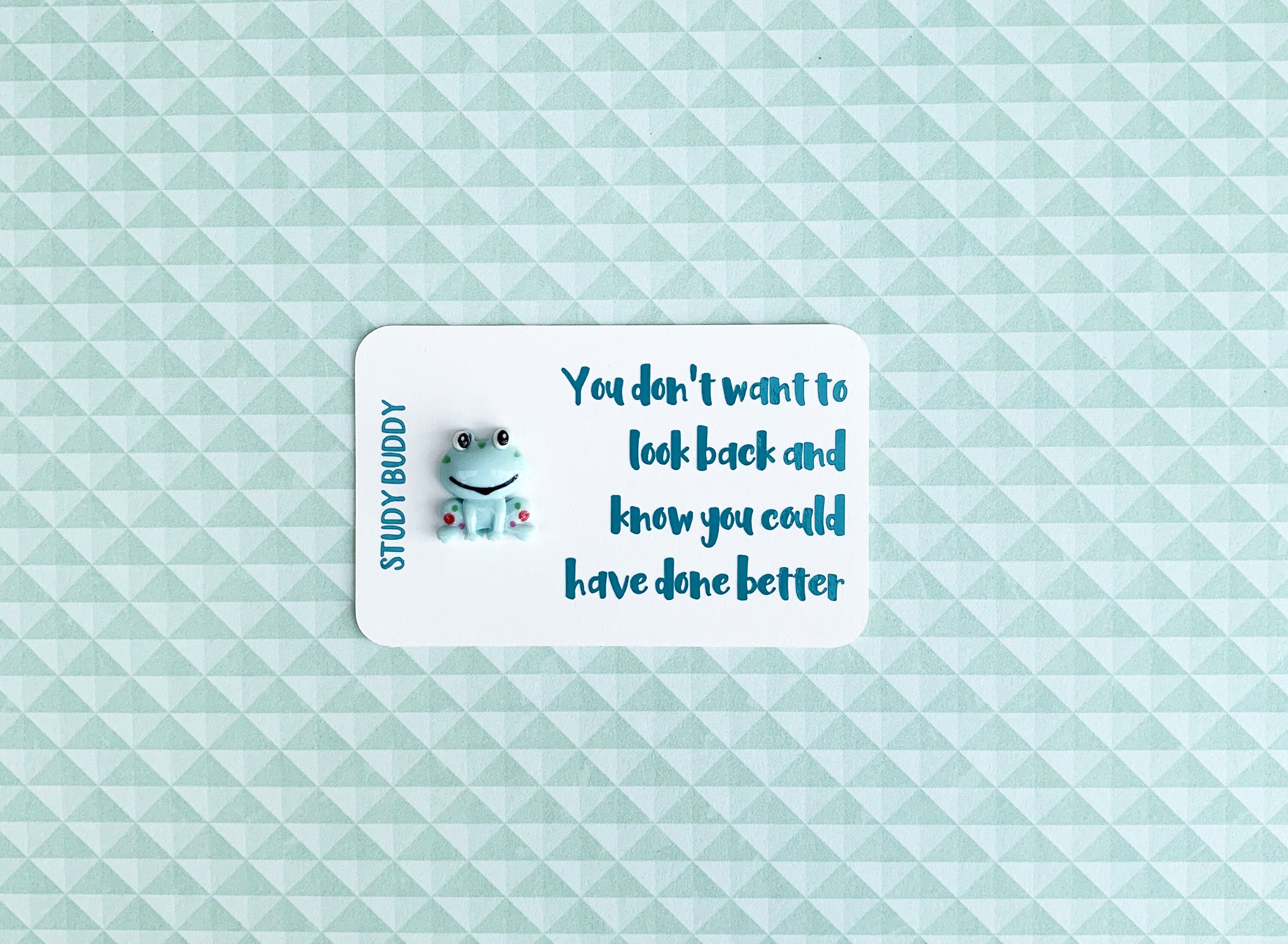 Study Buddy Revision Aide / GCSE Revision Gift A Level Study - Etsy UK