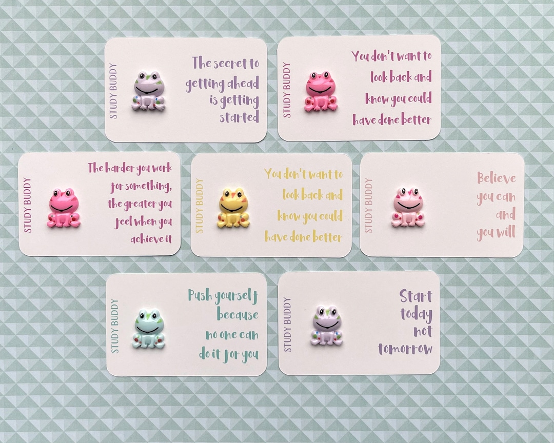 Study Buddy Revision Aide / GCSE Revision Gift A Level Study Gift ...