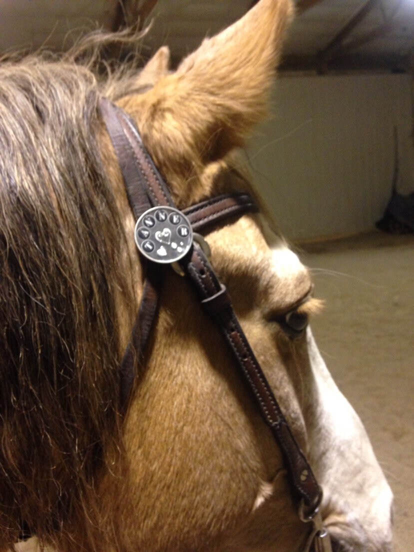 Beaded Indian Design Bridle Conchos, Beaded Star Rosettes, Barrel ...