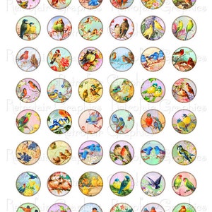 Birds Clip Art, Digital Collage Sheet of 1" Inch Round Circles ...