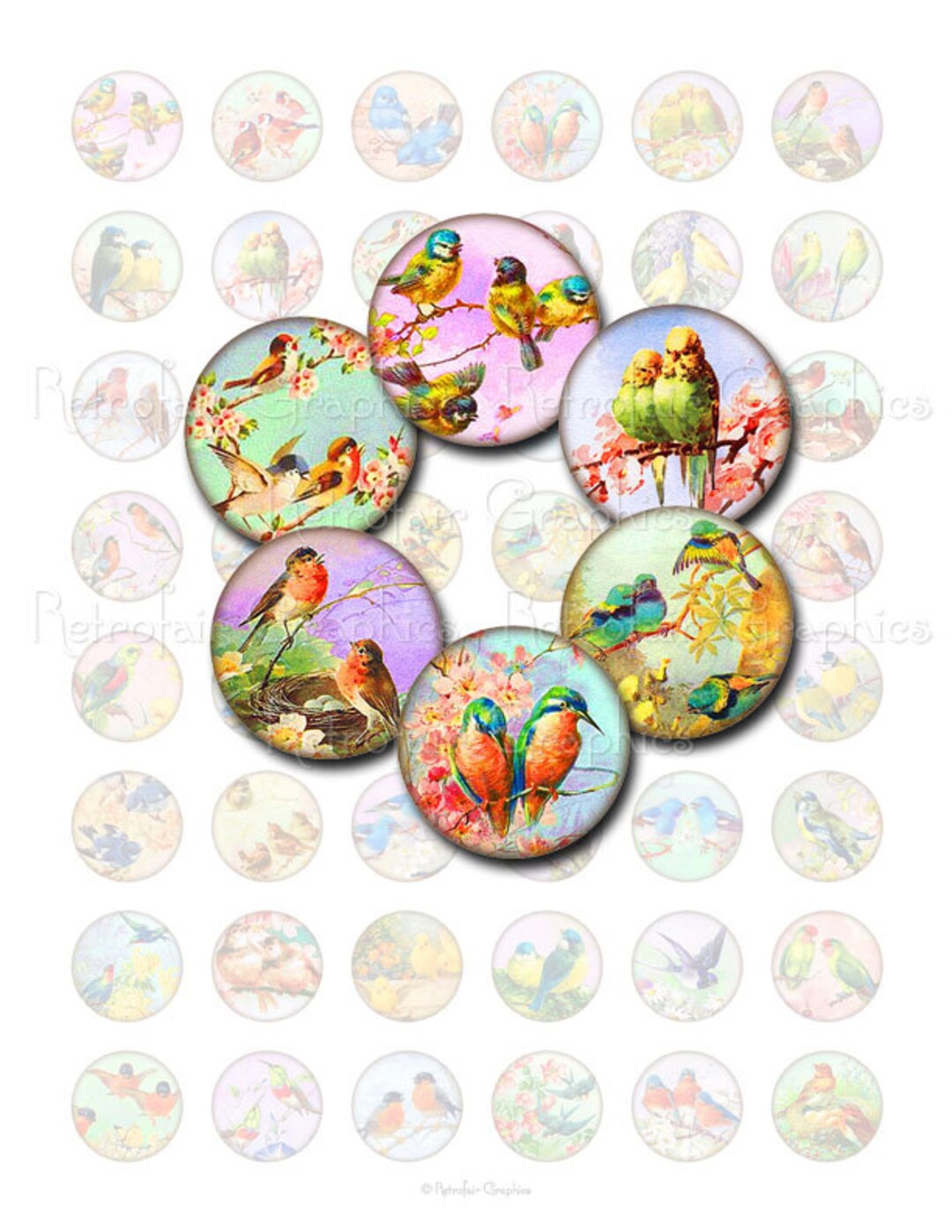 Birds Clip Art, Digital Collage Sheet of 1" Inch Round Circles ...