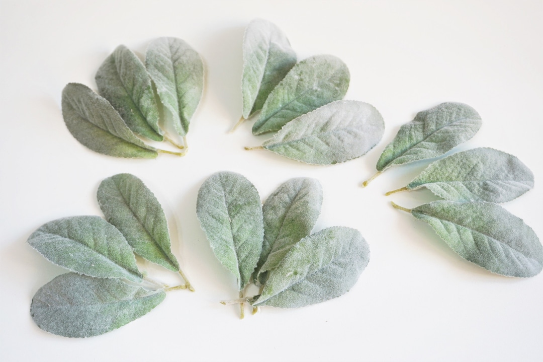 15 Pieces Life Like Miller Leaves, Artificial Leaves, Dusty Greenery ...