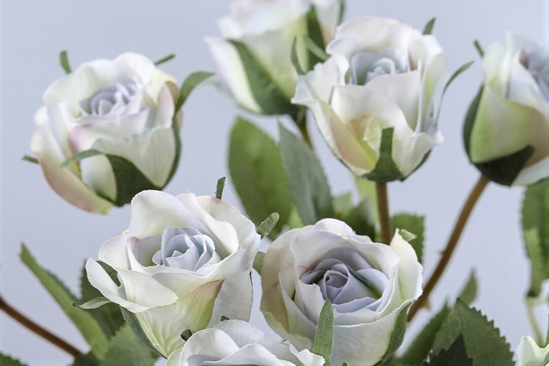 12 Stems Dusty Blue Rose Bud Bundle, Pale Blue Wedding Bouquet Flowers ...