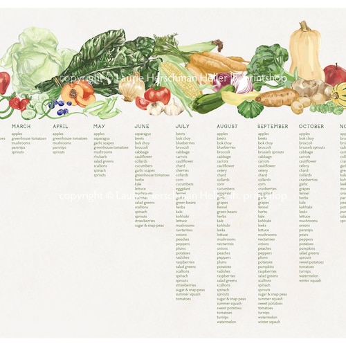 Regional NEW ENGLAND Seasonal Produce Chart - Etsy