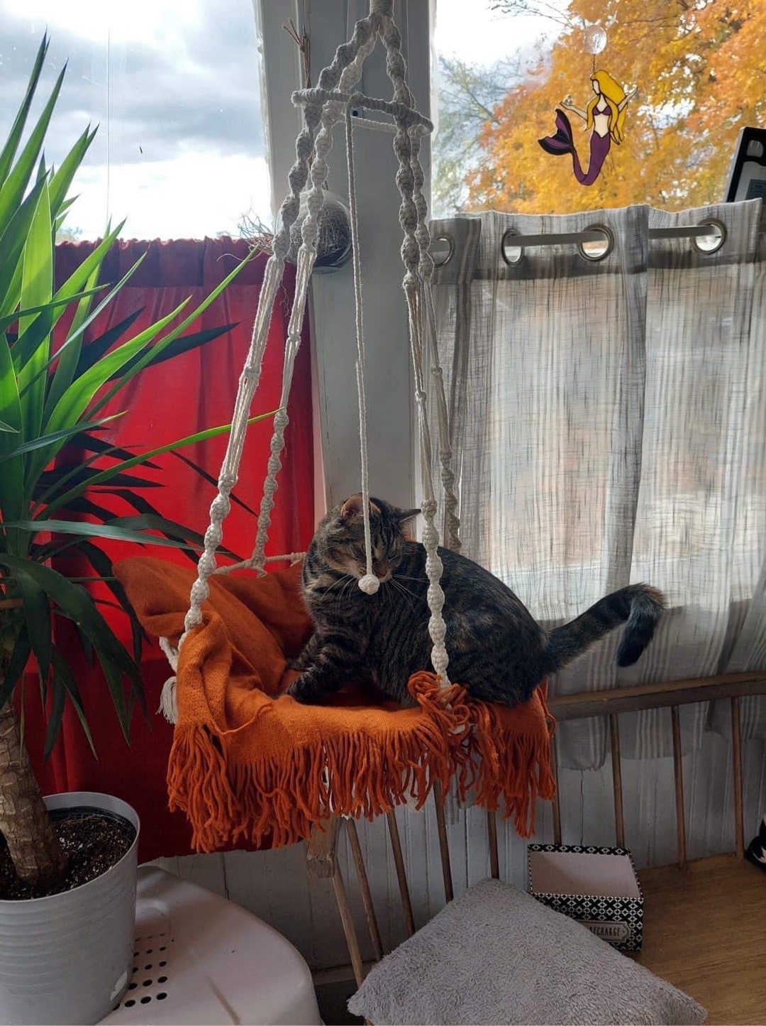 Hanging Cat Swing - Etsy