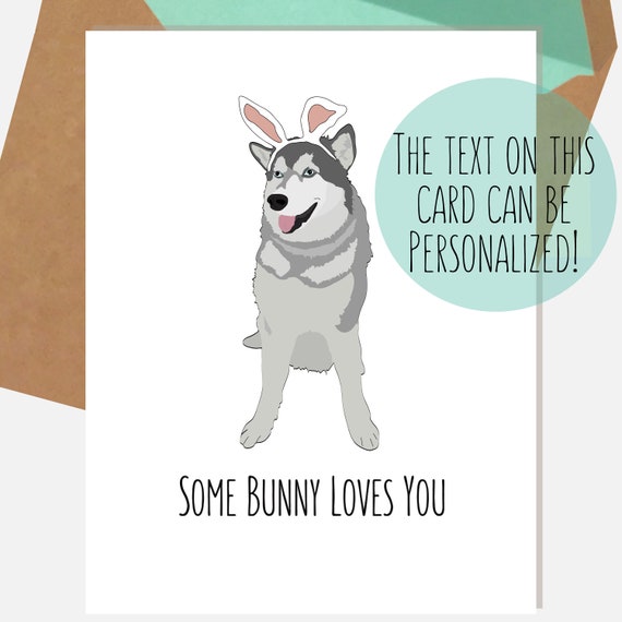 Can You Have A Husky And A Bunny Together