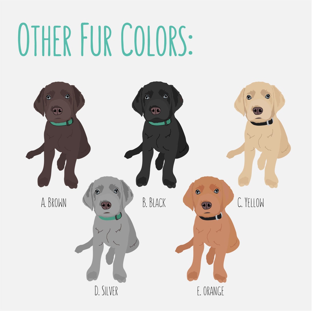 Brown Labrador Puppy Onesie Chocolate Lab Baby Bodysuit - Etsy