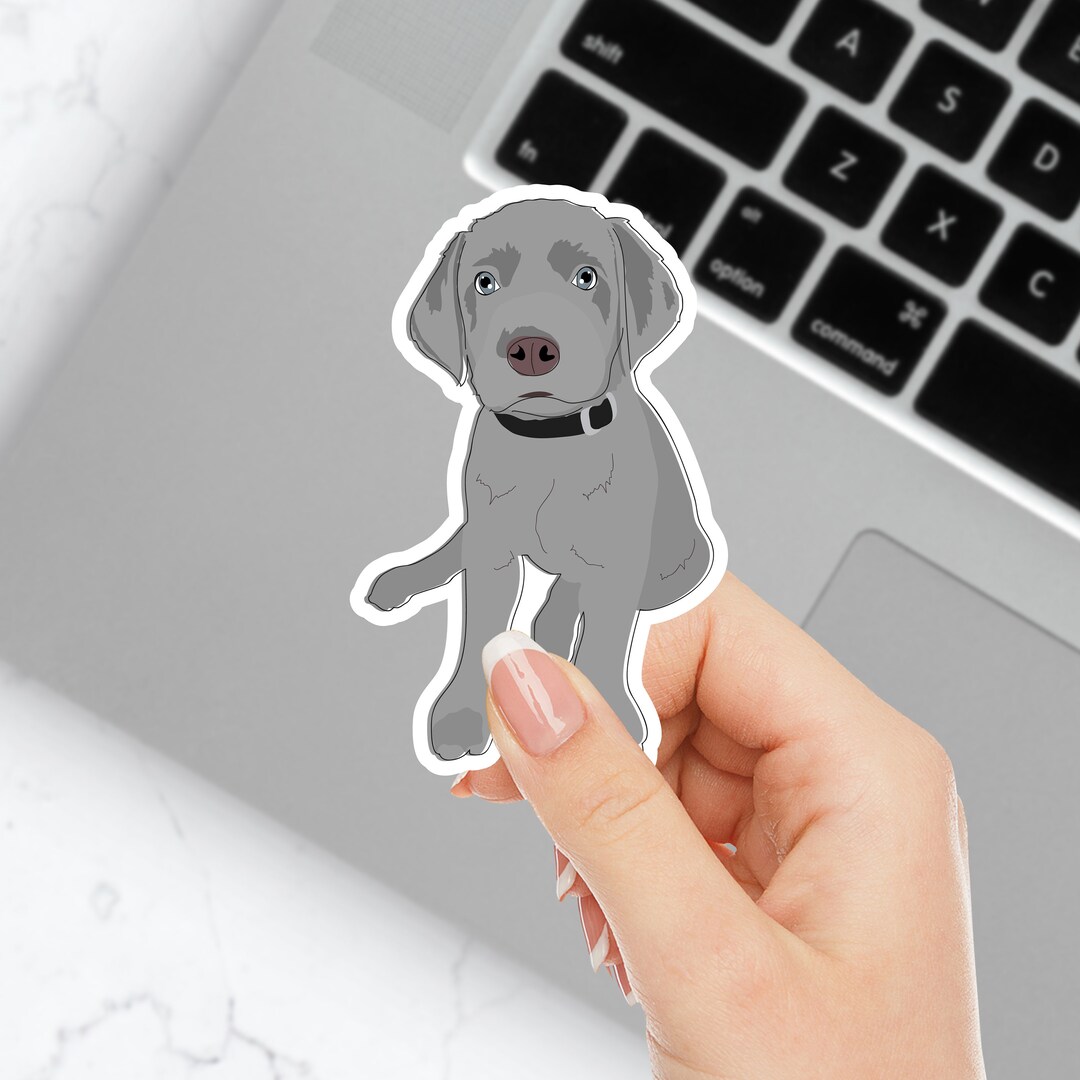 Silver Labrador Sticker | Silver Lab | Laptop Vinyl Decal - Etsy