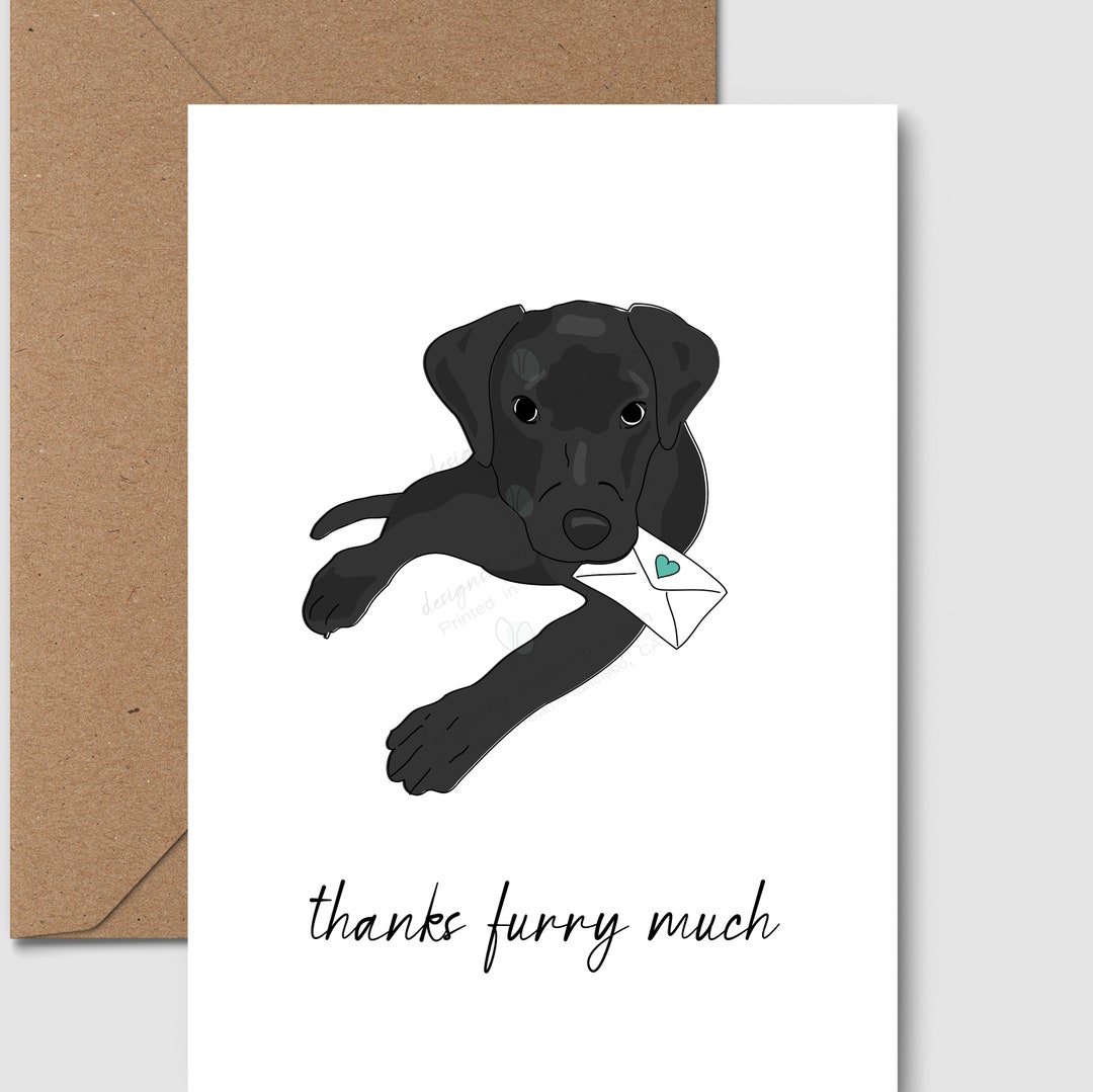 Black Labrador Thank You Cards | Thanks Furry Much - Etsy