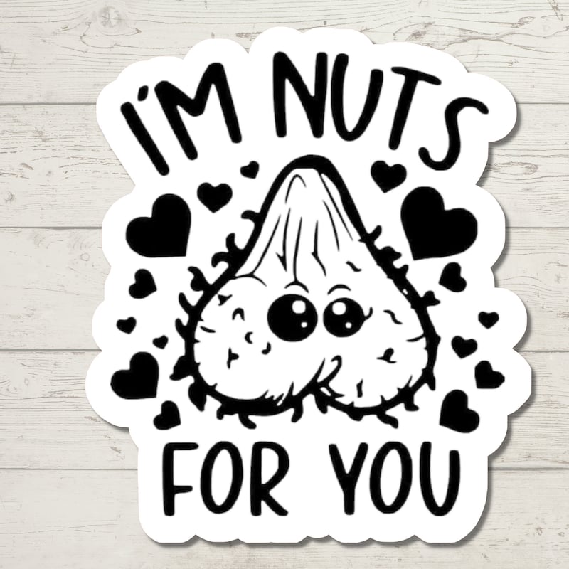 Deez Nuts Decal - Etsy