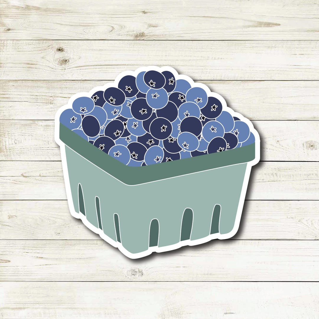 Blueberry Carton Sticker | Vinyl - Etsy