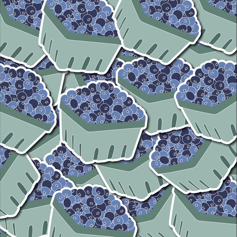 Blueberry Carton Sticker | Vinyl - Etsy