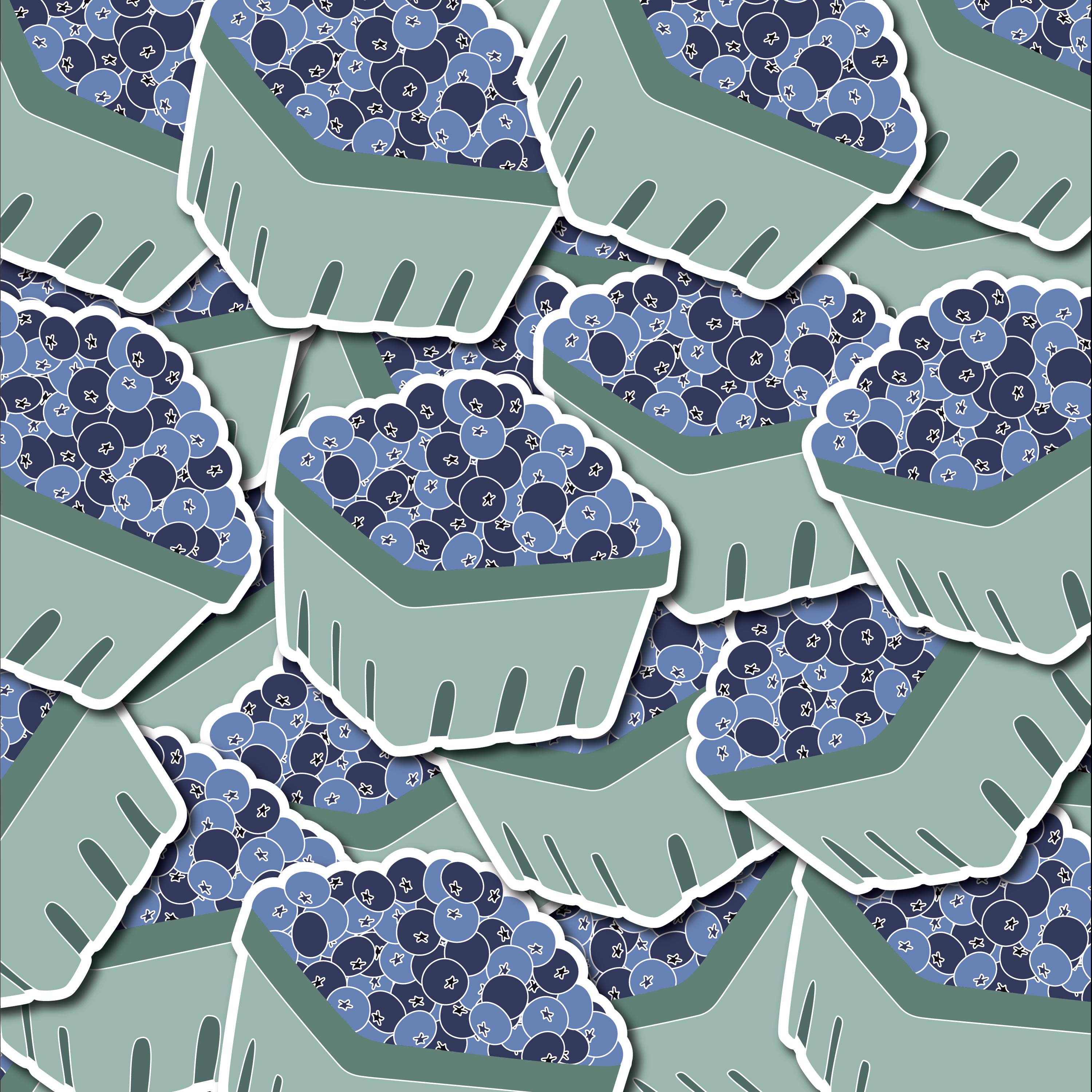 Blueberry Carton Sticker | Vinyl - Etsy