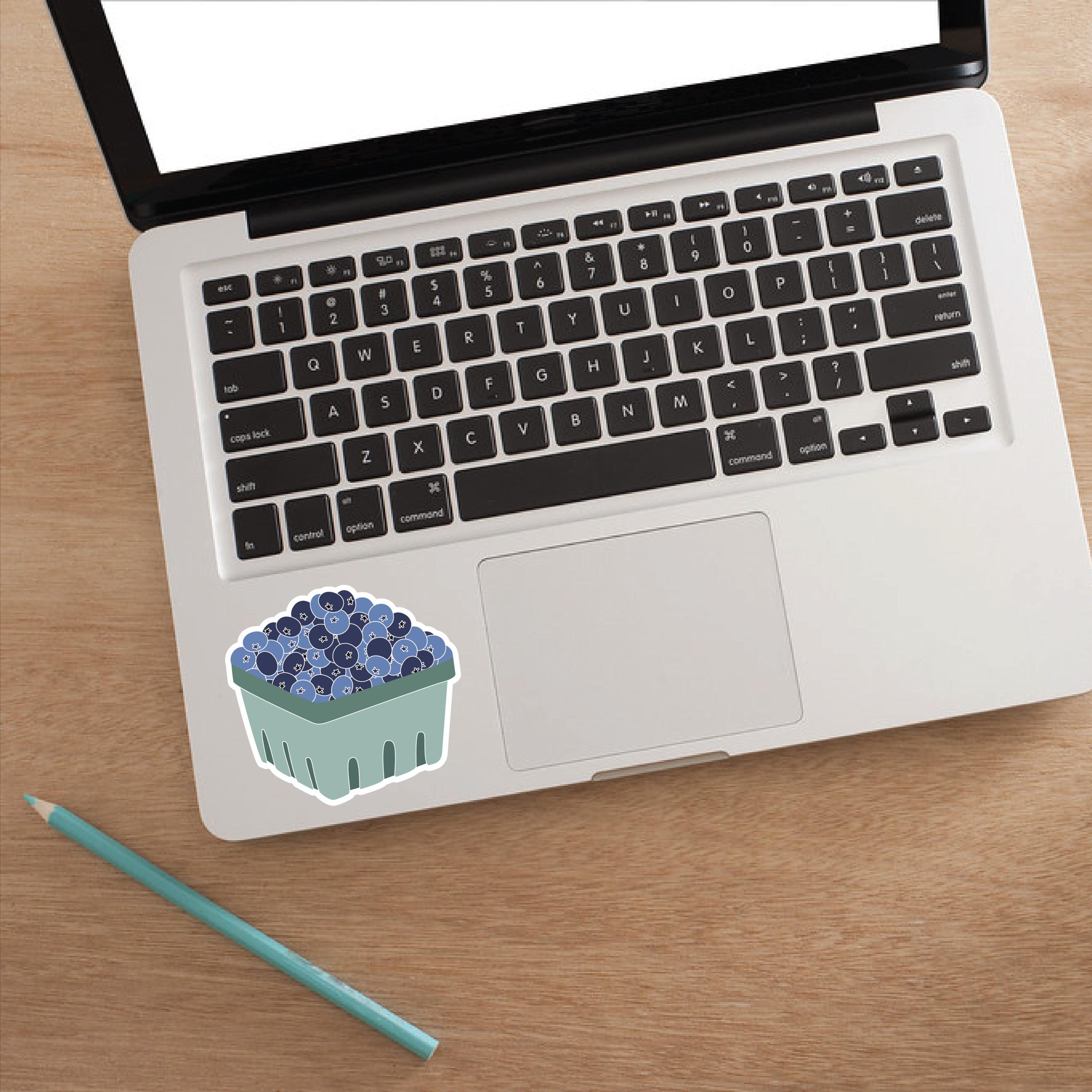 Blueberry Carton Sticker | Vinyl - Etsy