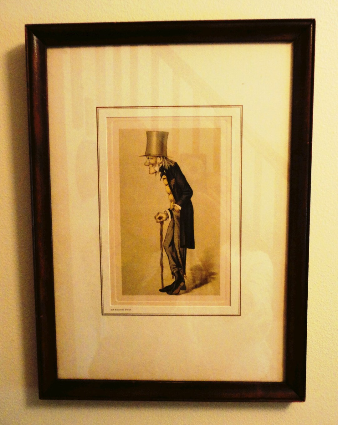 Antique Engraving: Sir Richard Owen, Dinosaur Scientist Portrait, 19th ...