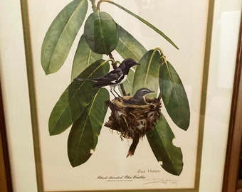 Ray Harm Print - Etsy