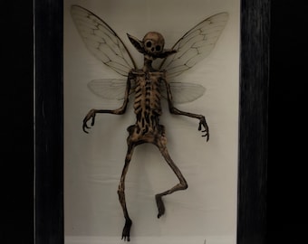 Fayette. Mummified Fairy. She Comes in a Case With Glass Cover. Fairy ...