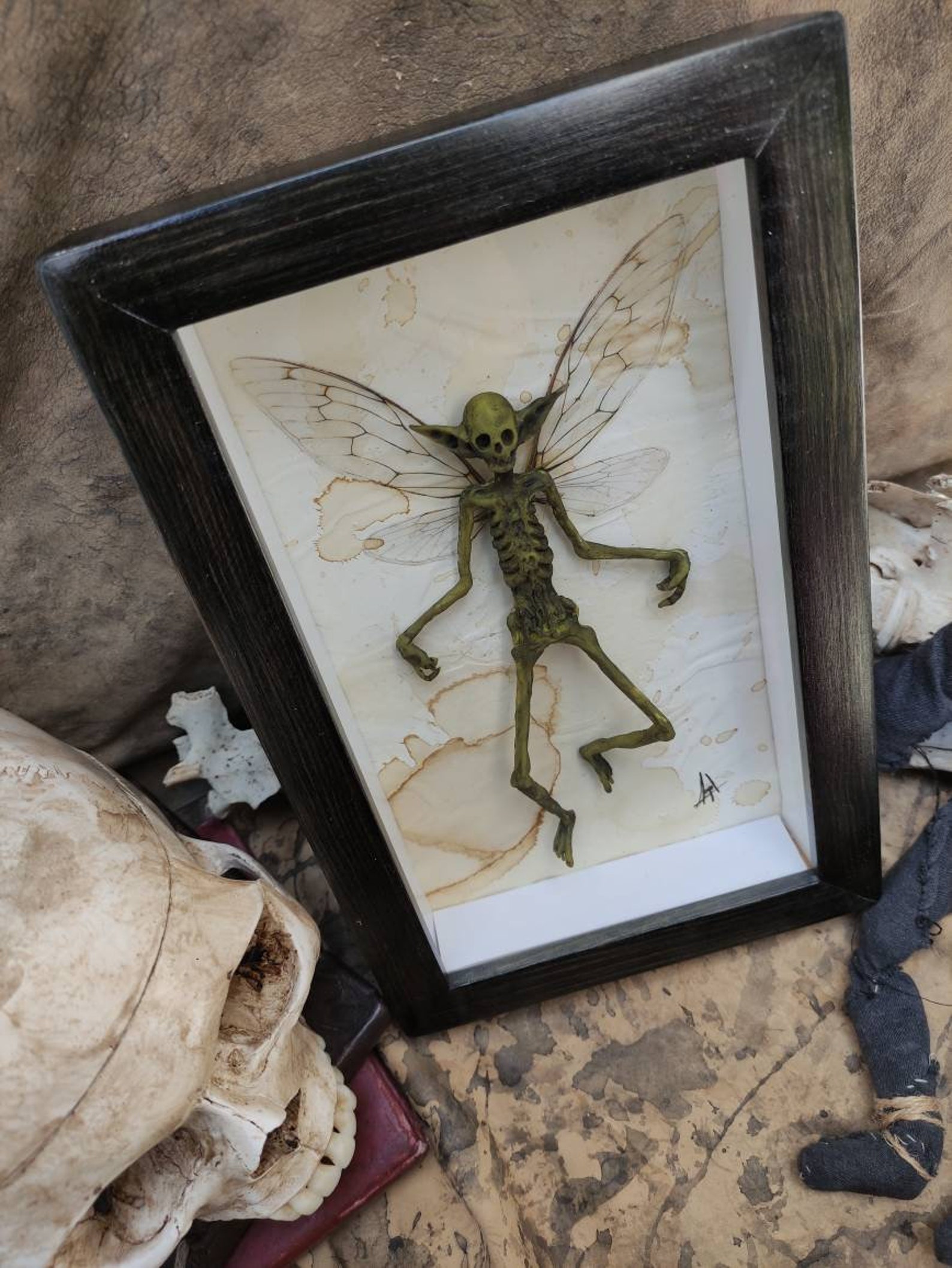 Mummified Fairy FRAMED With Nepenthes Trap. - Etsy