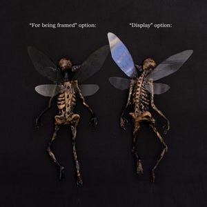 Custom Handmade Dead Fairy - Etsy UK