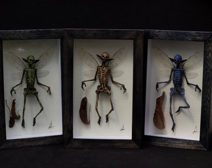 Mummified Fairy (FRAMED) With Nepenthes Trap. - Etsy