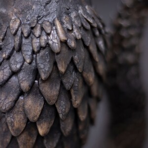 Armless and Dead Fiji Mermaid - Etsy