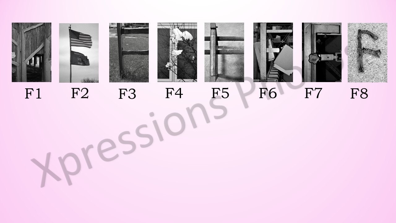 Letter F Alphabet Photography 4x6 Black and White Clip Frame Optional ...