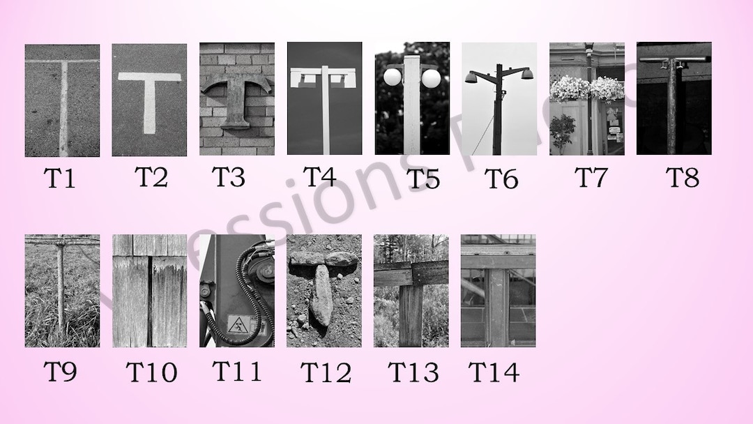 Letter T Alphabet Photography 4x6 Black and White Clip Frame Optional ...