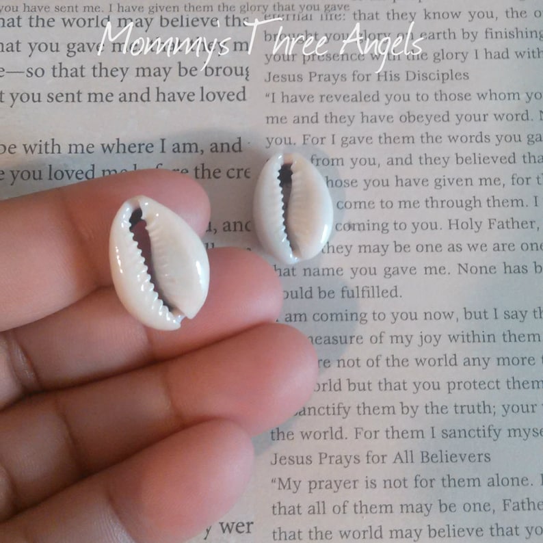Cowry/cowrie Shell Stud Earrings READY TO SHIP - Etsy