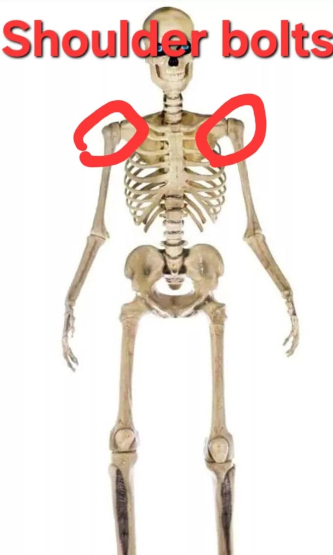 Bolts Set of 2 12 Foot Skeleton Replacement Shoulder Arm Mounting Bolts ...