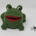 Frog Amigurumi Crochet Pattern, Boris the Frog - Etsy