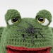 Frog Amigurumi Crochet Pattern, Boris the Frog - Etsy