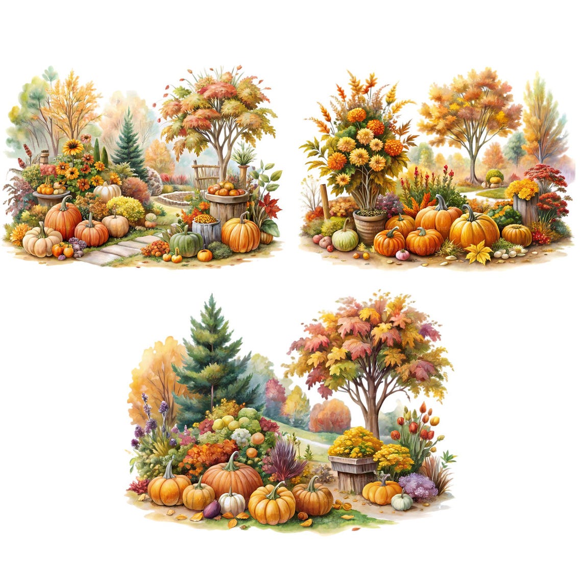 Fall Garden Watercolor Clipart: Autumn Foliage PNG Images (digital ...