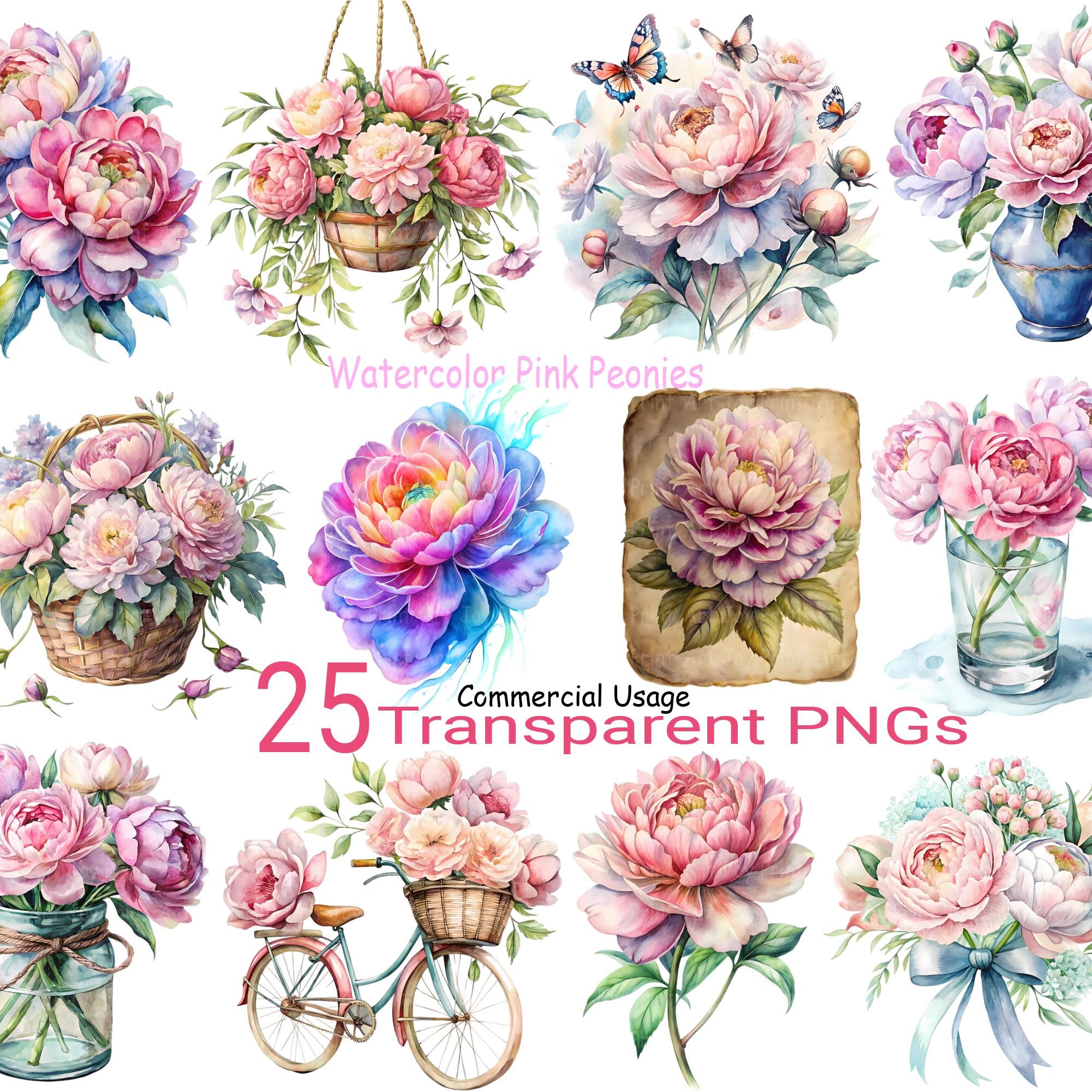 Pink Peonies Watercolor Clipart Bundle: 25 Floral Pngs (digital ...