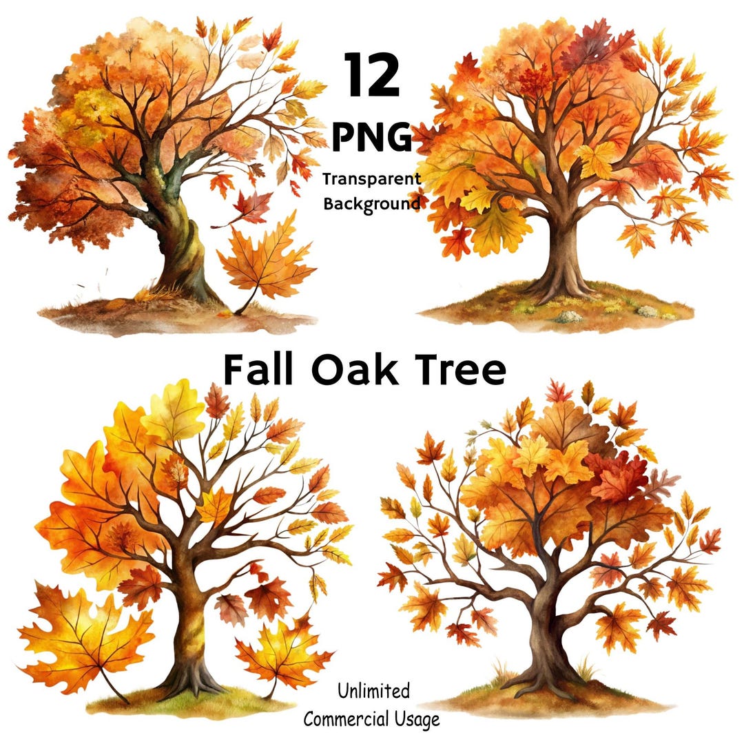 12 Fall Oak Tree Watercolor Clipart, Autumn Oak Tree Png, Woodland ...