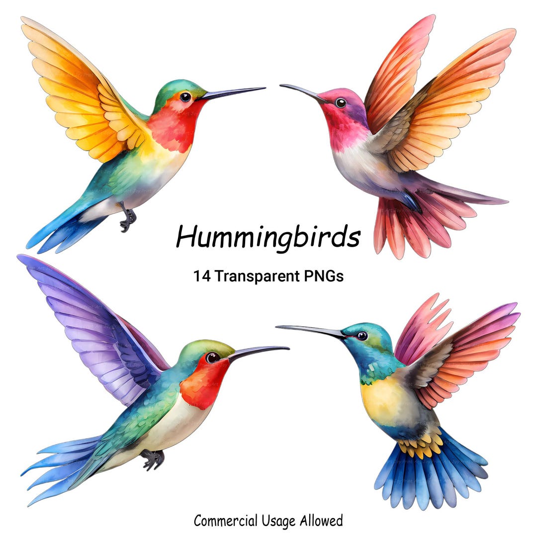 14, Hummingbirds Clipart Bundle– Watercolor Birds PNG Graphics, High ...