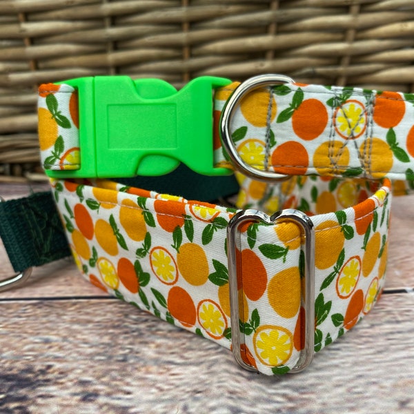 Sighthound Collar - Etsy