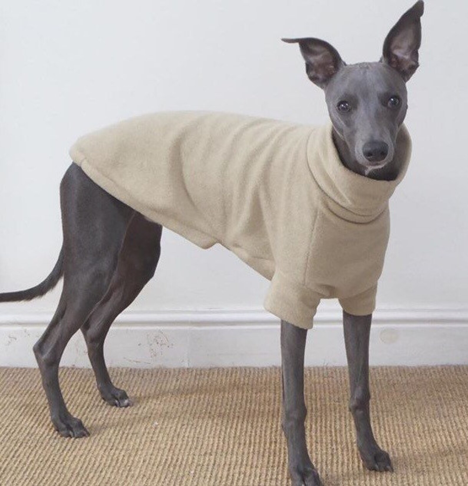 Hot Pink Greyhound 2 Leg Fleece, Lurcher Pjs, Sighthound Sweater - Etsy