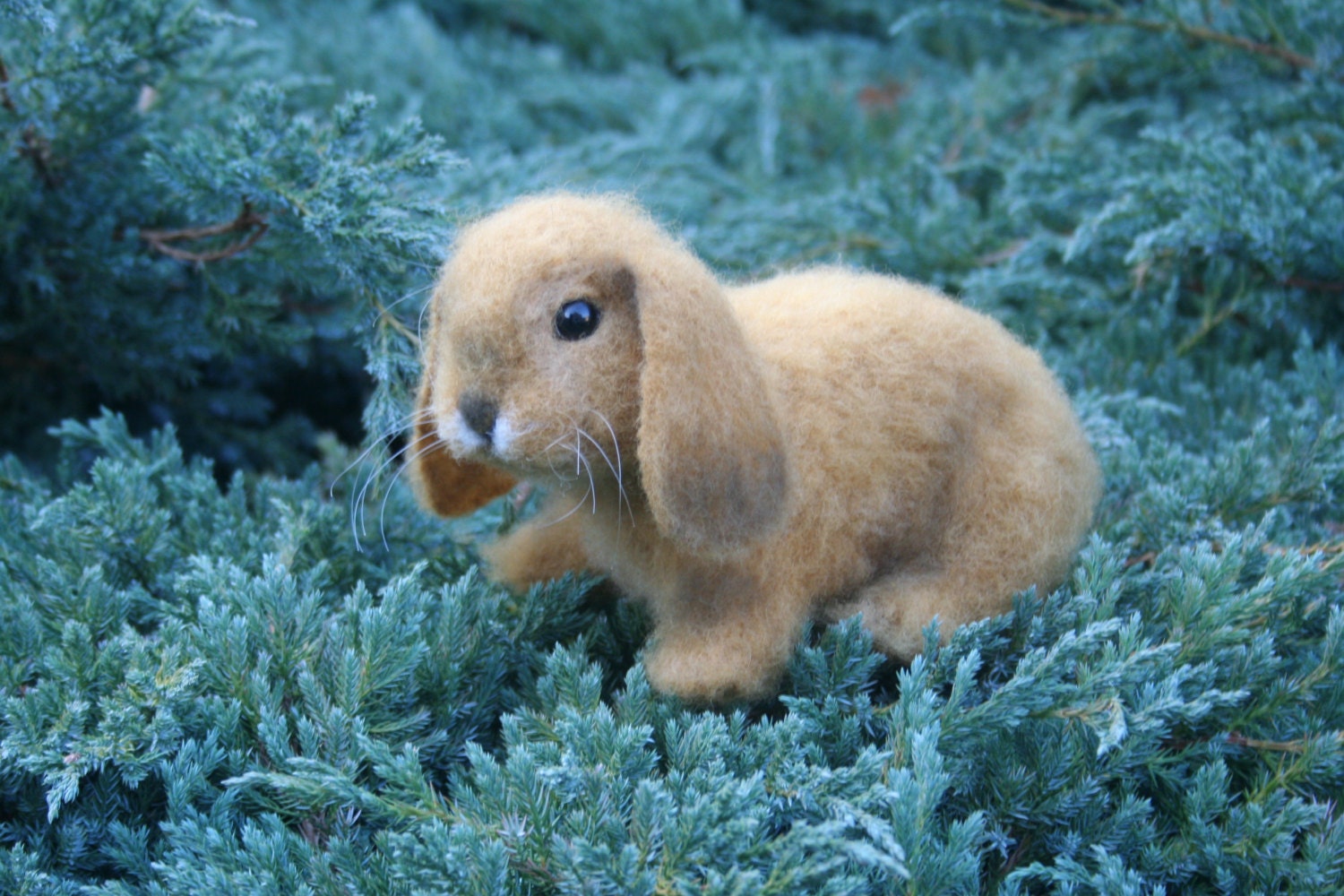 Needle Felted Rabbit. Realistic Rabbit. Soft Sculpture. - Etsy